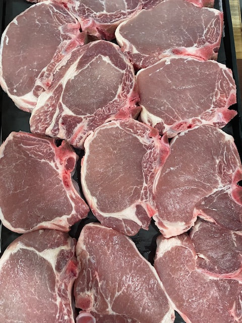 Collections – SouthernCutsProcessing