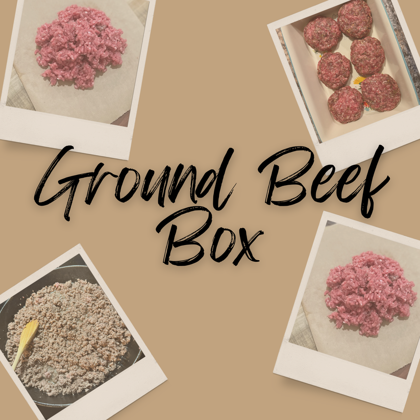 Ground Beef Box – SouthernCutsProcessing